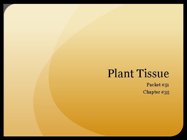 Plant Tissue Packet 51 Chapter 35 Plants Introduction