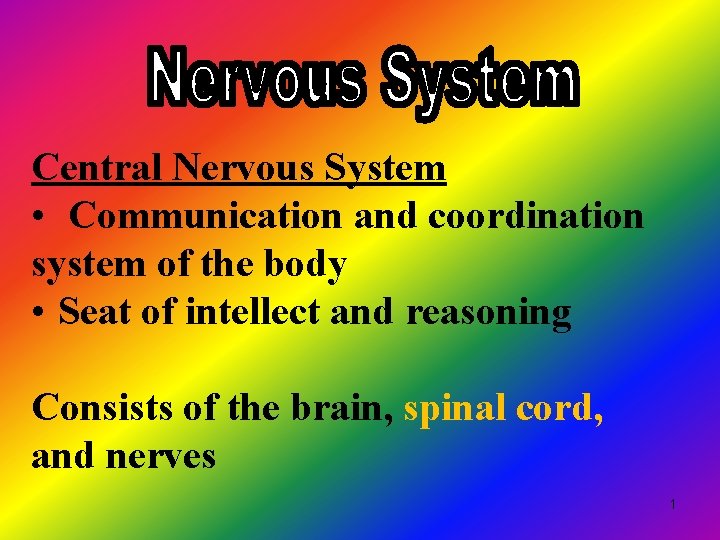 Central Nervous System Communication and coordination system of