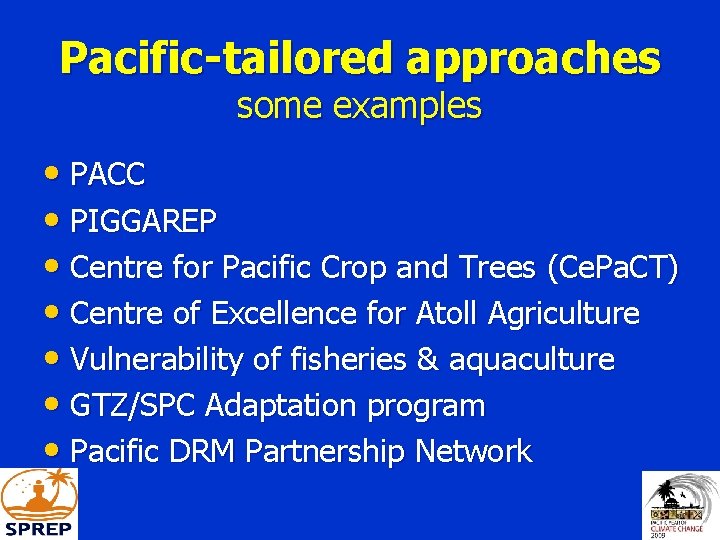 Pacific Climate Change Roundtable Regional Strategic Issues and