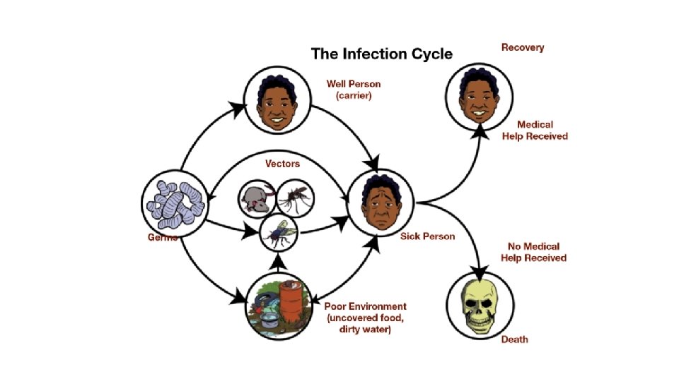 Definition of health risksevents and transmission Objectives By
