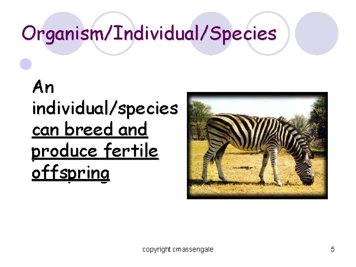 l Scientific study of interactions between organisms and