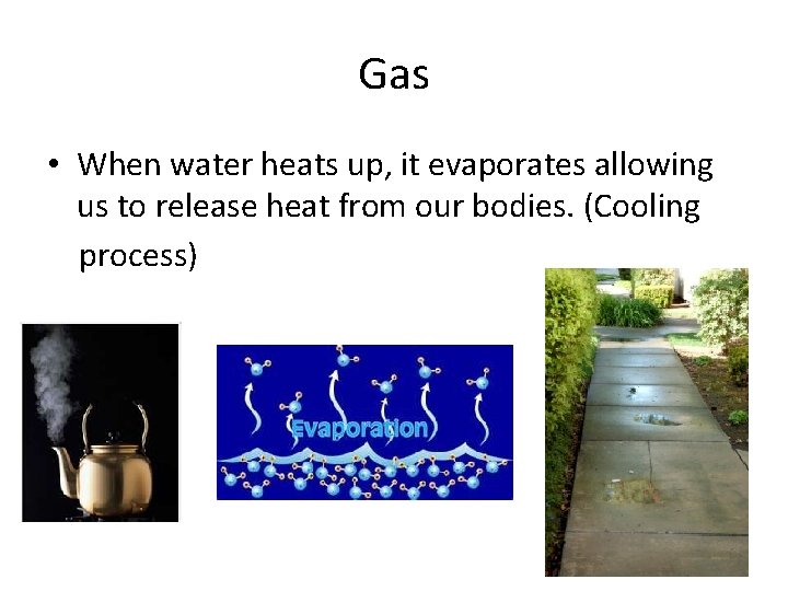 Properties of Water Packet 1 1 Biochemistry Water