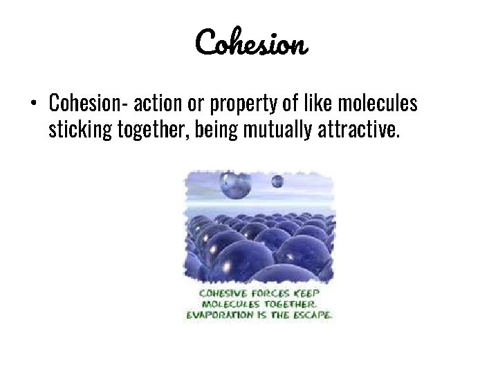 Properties of Water Packet 1 1 Biochemistry Water