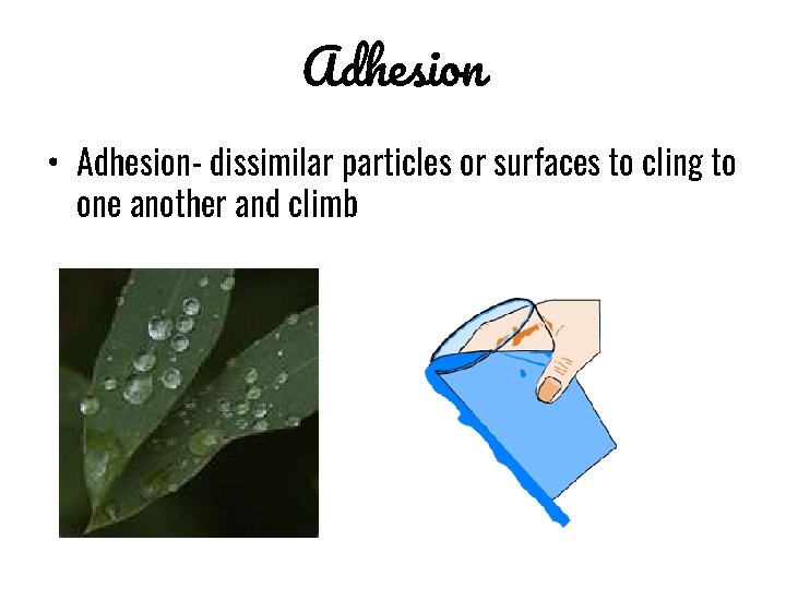 Properties of Water Packet 1 1 Biochemistry Water
