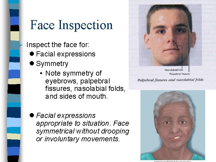 Health Assessment Head Eyes Ears Nose Mouth Neck