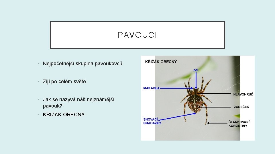 PRO TY KTE DNES NEBYLI NA ONLINE HODIN