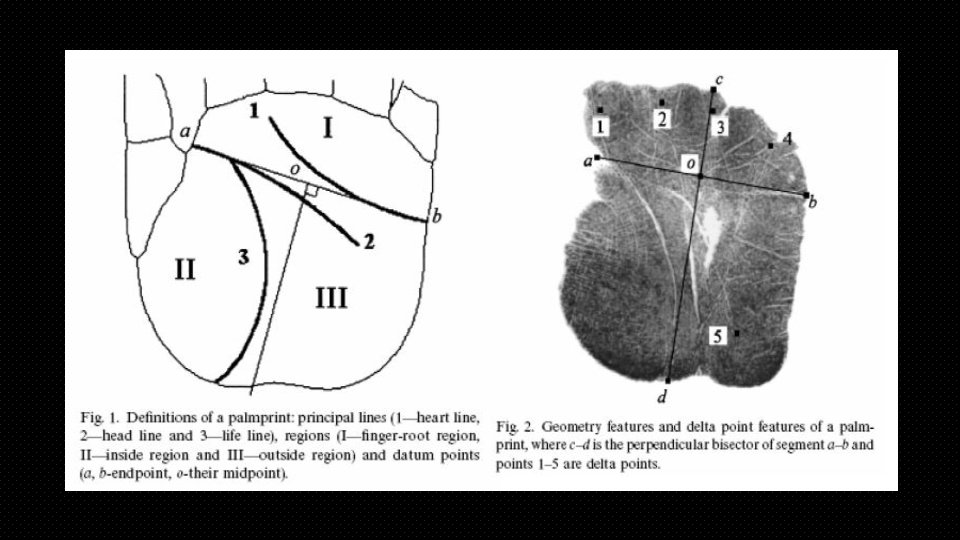 PHYSIOLOGICAL BIOMETRICS Palm Prints FEATURES OF PALM OR