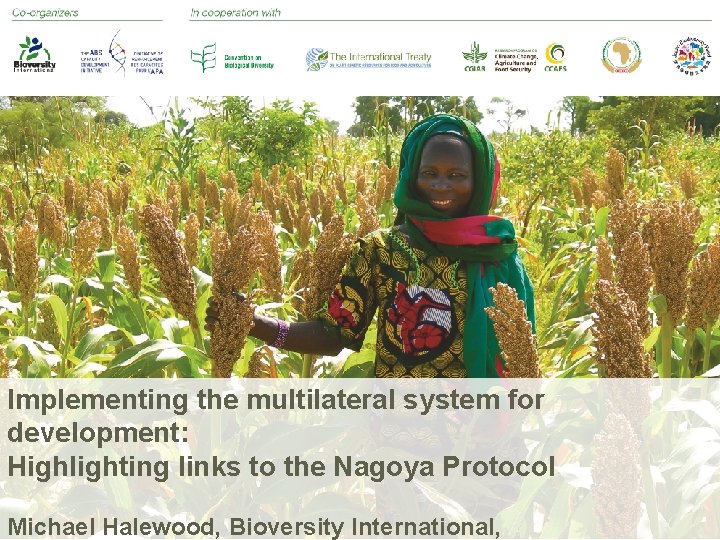 Implementing the multilateral system for development Highlighting links