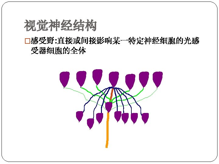 Lecture 12 Object Detection and Recognition What is