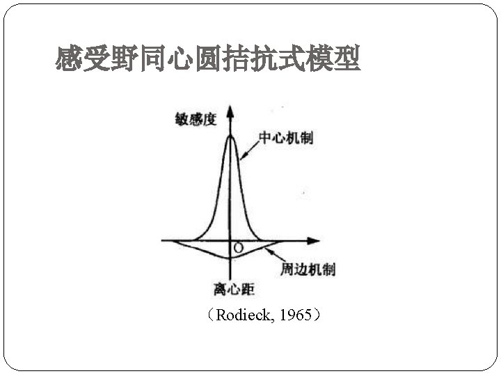 Lecture 12 Object Detection and Recognition What is