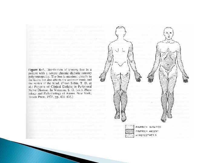 NEUROMUSCULAR DISORDERS What is a neuromuscular disorder A
