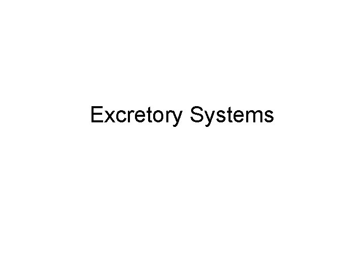 Excretory Systems Kidneys and their ducts Homeostatic hormones