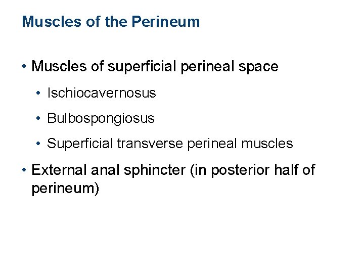 Muscles of the Neck and Vertebral Column Trunk