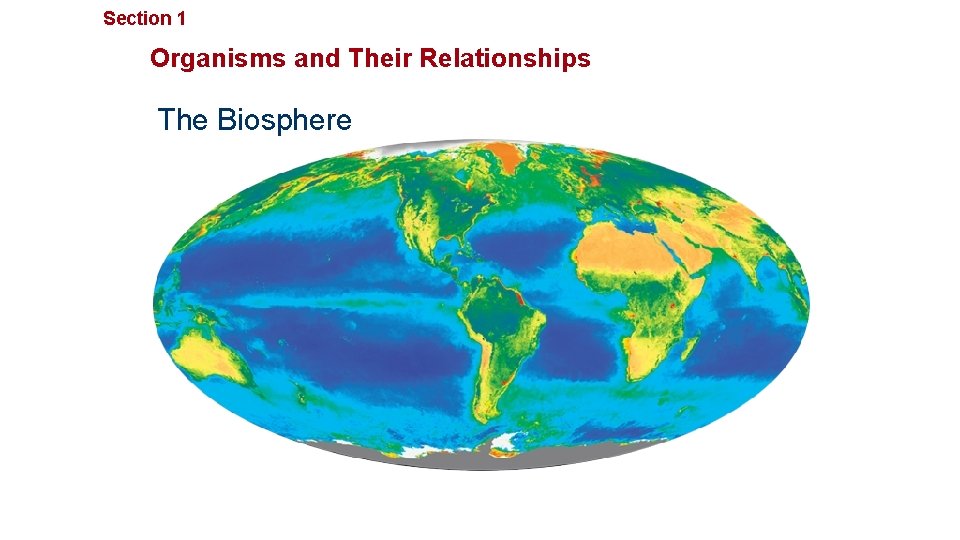 Chapter 3 The Biosphere Section 1 Principles of