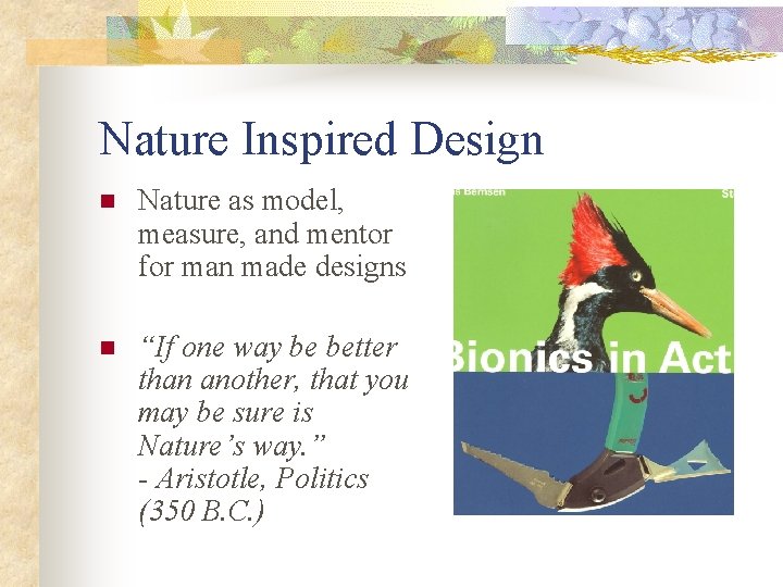 Inspired Design Using Interdisciplinarity and Biomimicry for Software