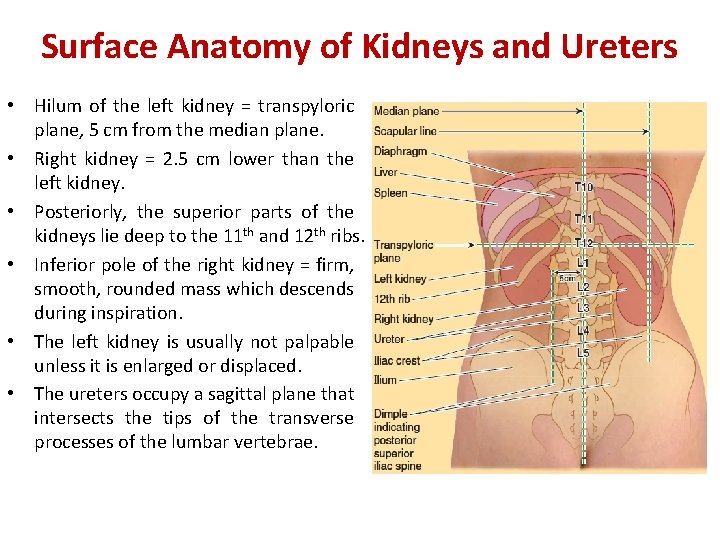 Kingdom of Bahrain Arabian Gulf University College of