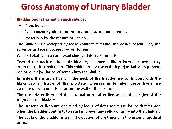 Kingdom of Bahrain Arabian Gulf University College of