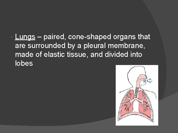 RESPIRATORY SYSTEM Respiratory system Molecules of oxygen and