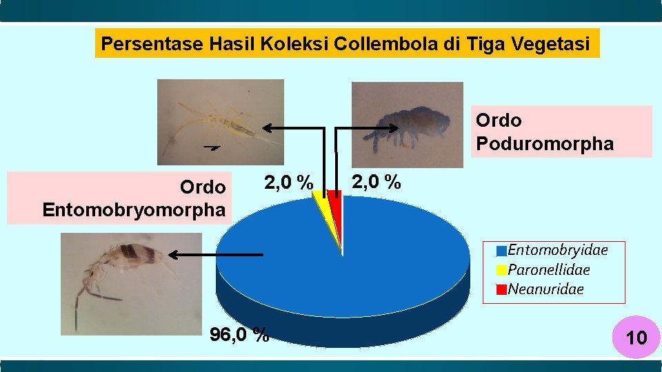 Keanekaragaman Collembola Permukaan Tanah pada Tipe Vegetasi Puspa