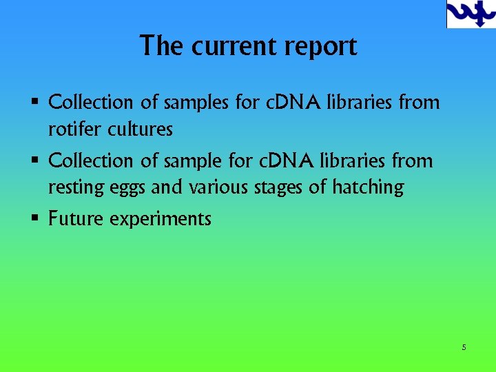 Rotifer resting eggs Nadav Y Denekamp National Institute