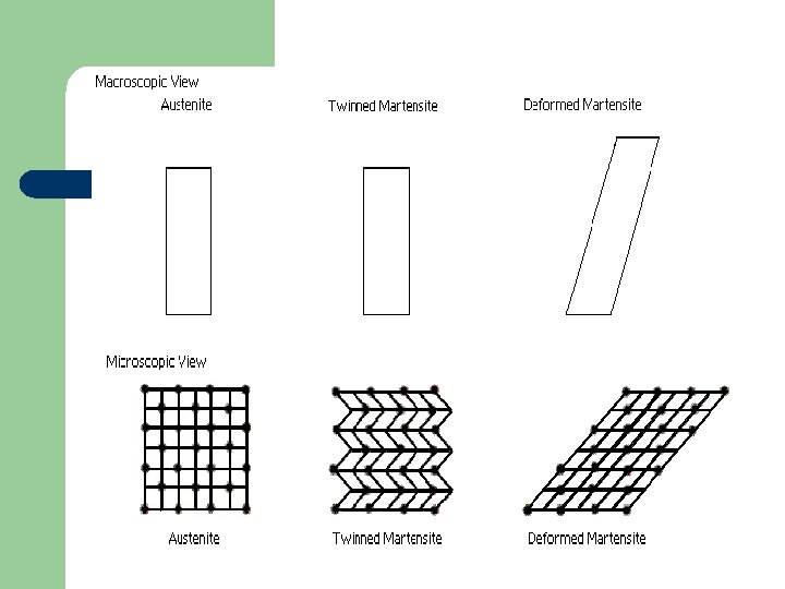 SHAPE MEMORY ALLOYS Presented by Afsal f S
