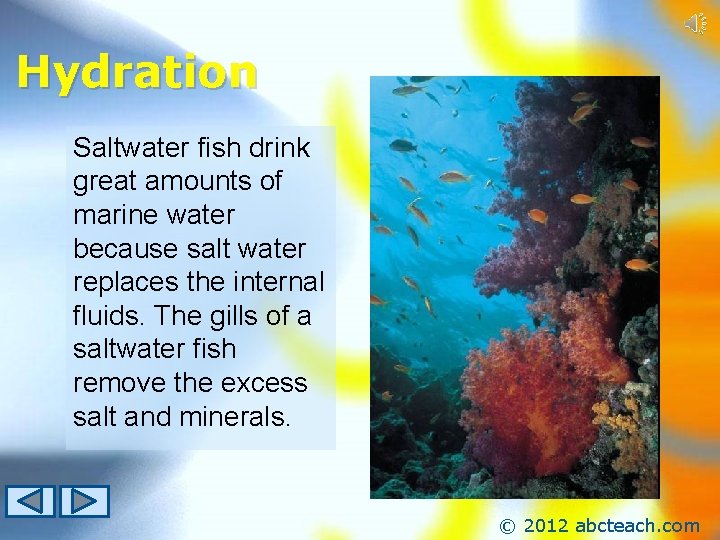 Freshwater Ecosystems Hydration Living on Planet Earth 2012