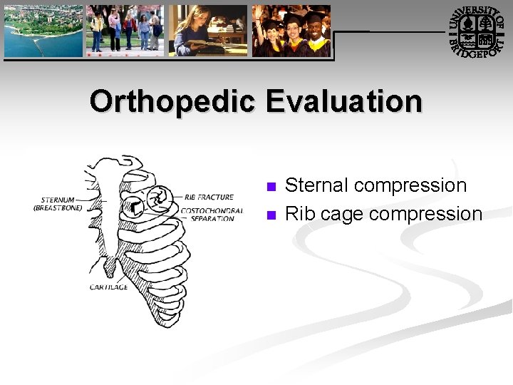 Thoracic Spine Lab Session DX 612 James J