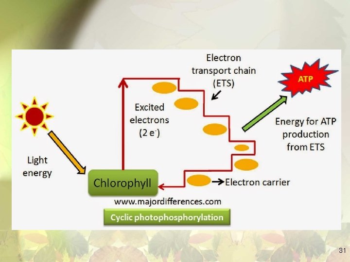 PHOTOSYNTHESIS Photosynthesis Photosynthesis is an Anabolic because it