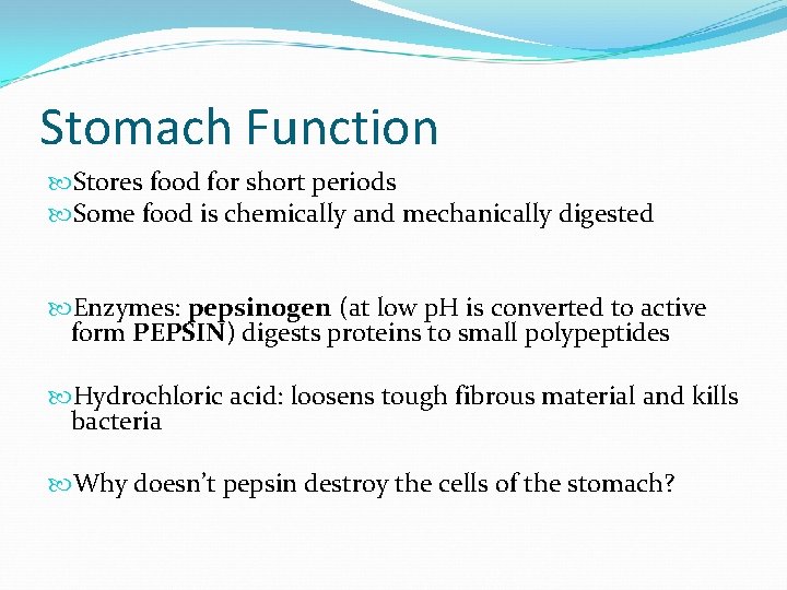 The Digestive System Objectives 1 State the purpose