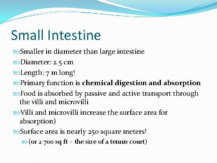 The Digestive System Objectives 1 State the purpose