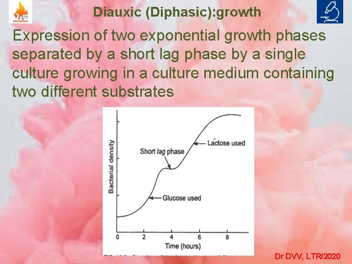 Types of Bacterial Cultures For B Sc II