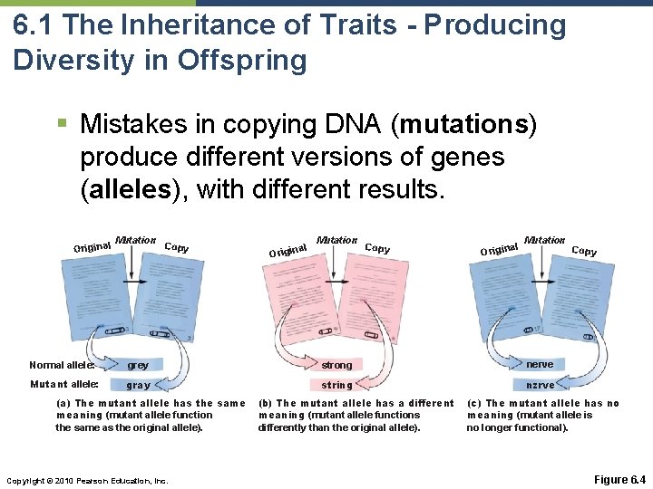 Chapter 6 Are You Only As Smart As