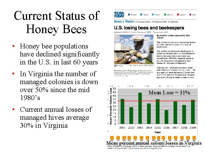 Bee Health in North America Understanding Colony Decline