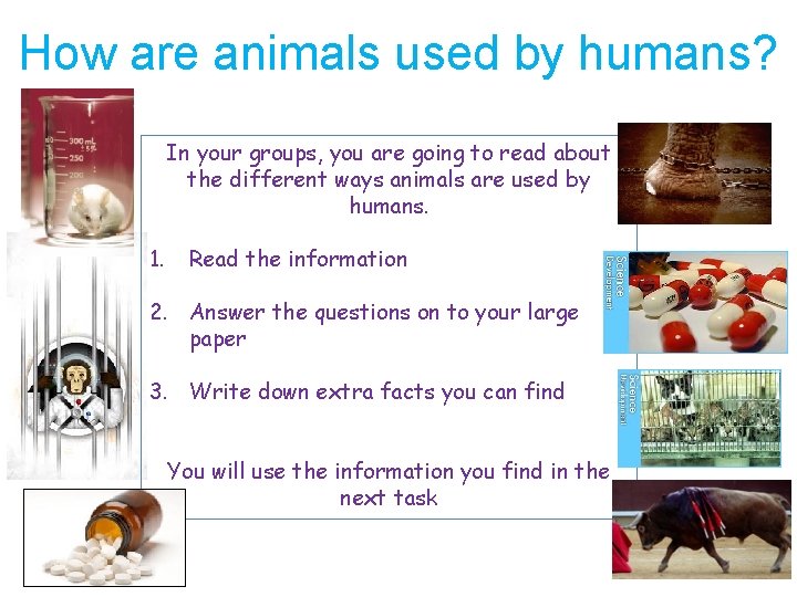 How are animals used by humans To explore