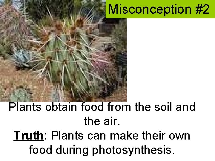 ENERGY PHOTOSYNTHESIS 29 June 2011 P 6 Science