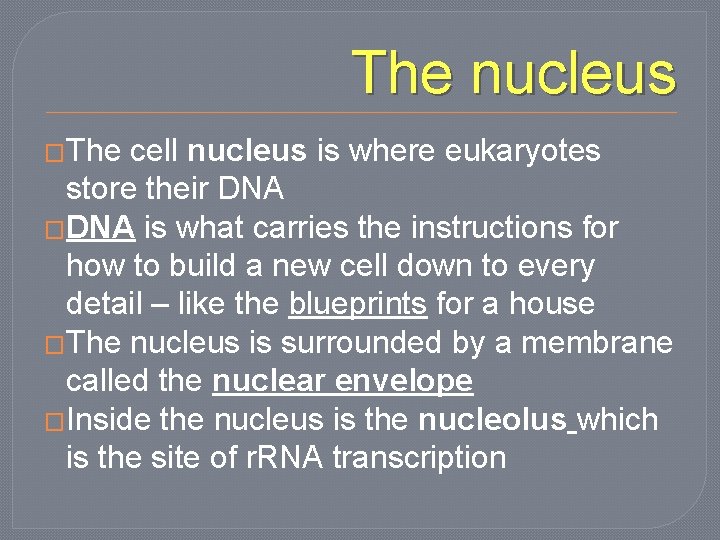 The Cell cycle Ch 5 1 Lesson Objectives