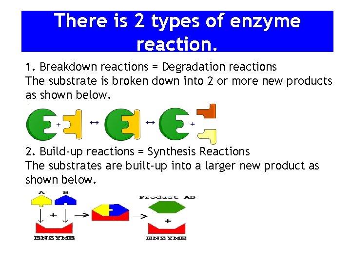National 5 Biology Unit 1 Cell Biology KA