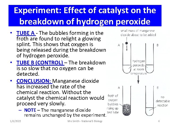 National 5 Biology Unit 1 Cell Biology KA