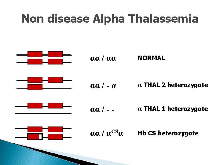 thalassemia defective globin gene thalassemia defective globin gene
