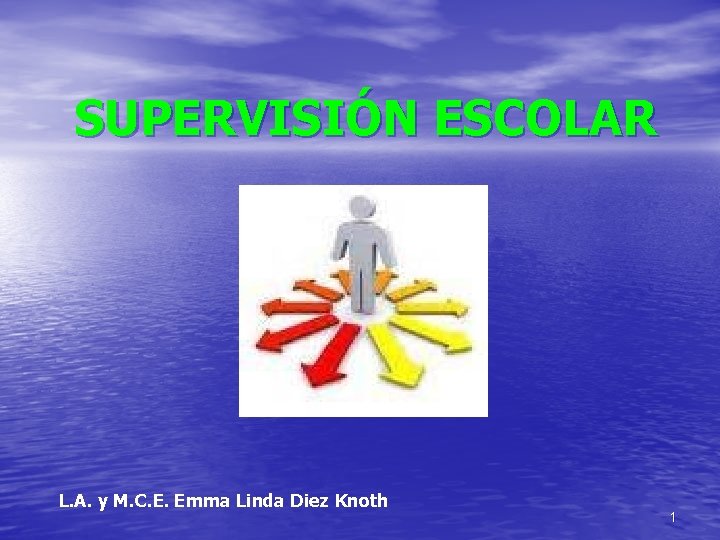 SUPERVISIN ESCOLAR L A y M C E