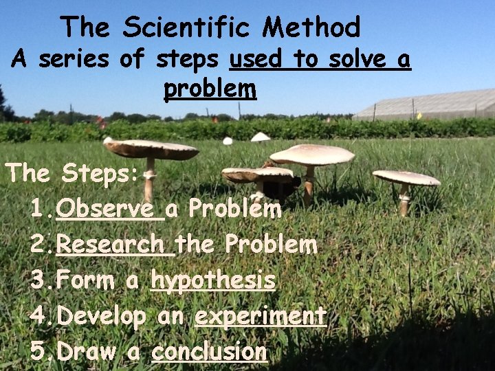The Scientific Method A series of steps used