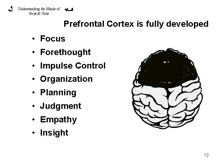 Understanding the Minds of Boys Girls Dakota Hoyt