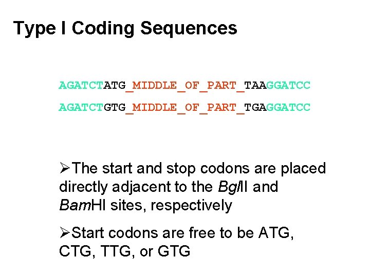 Essential Basic Part Types Coding Sequences C Complete