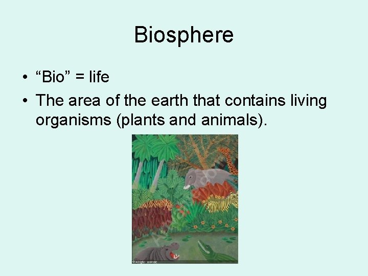 The Carbon Cycle The movement of carbon between