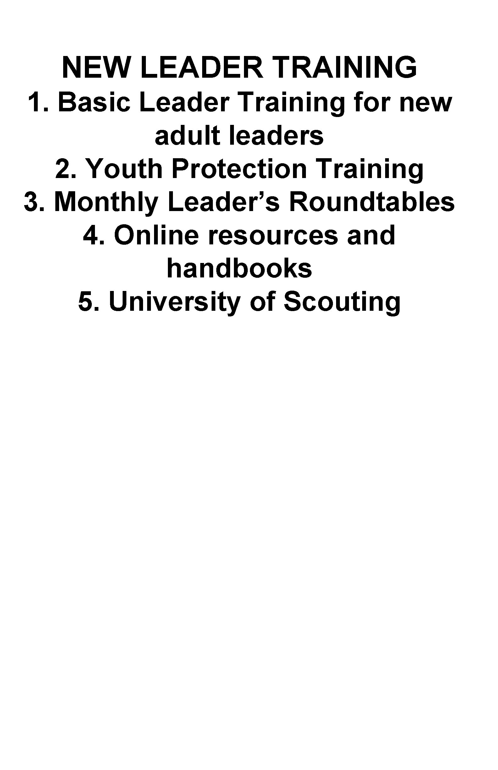 WHAT IS CUB SCOUTING 1 Program for boys