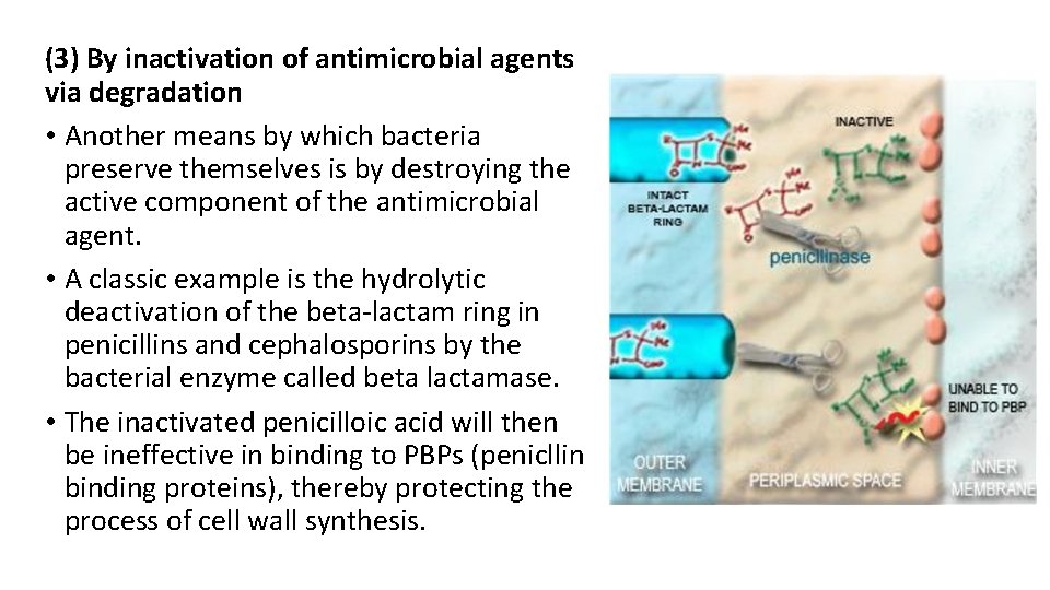 Mechanisms of antibiotic resistance The main mechanisms of