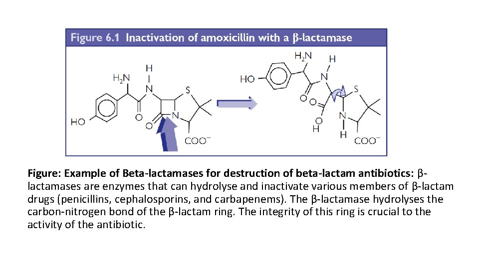 Mechanisms of antibiotic resistance The main mechanisms of