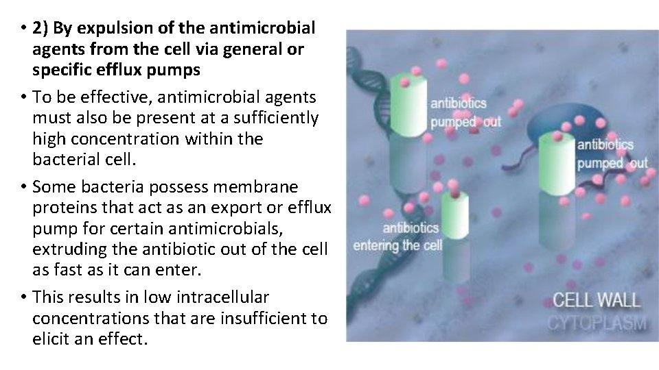 Mechanisms of antibiotic resistance The main mechanisms of
