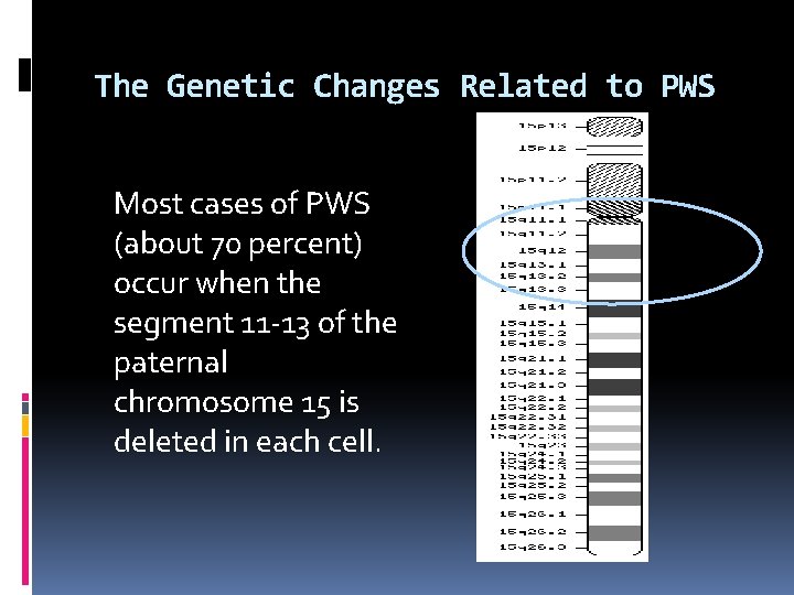 Yong Xiang Chen Professor Brennan Ms Mc Mahon