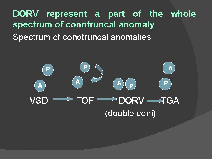 DOUBLE OUTLET RIGHT VENTRICLE Dr Kshitij Mavade Introduction